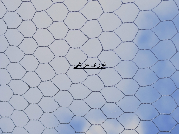 Chicken wire - Delta Wire Co